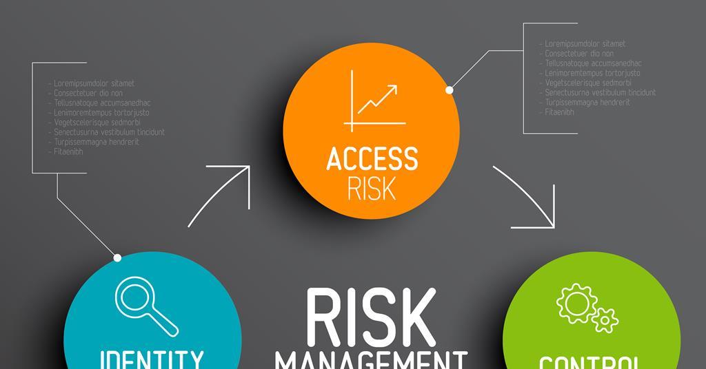How to manage risk ownership to ensure accountability without operating ...