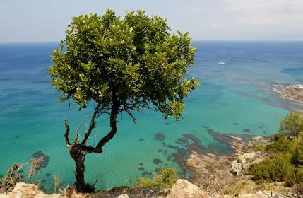 The Cyprus connection | Features | StrategicRISK Global
