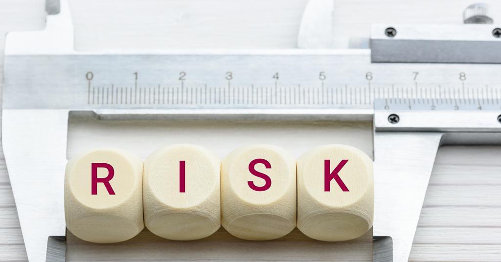 Risk-!n 2025: solving risk management’s identity crisis | Analysis ...