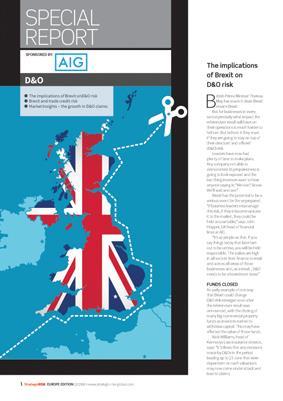 Special report: D&O | Special Reports | StrategicRISK Global