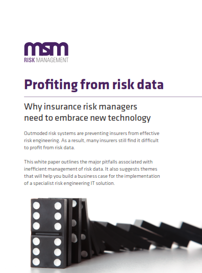 MSM Risk Management White Paper: Profiting from risk data | Marketing ...