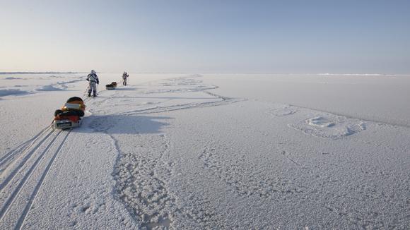 Lloyd's highlights Arctic risks and opportunities | Analysis ...