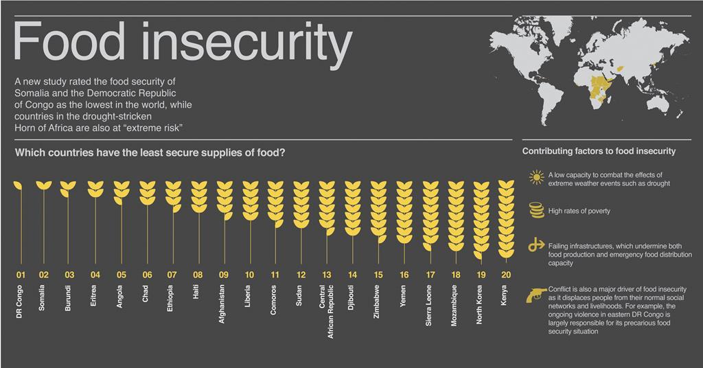 Risk Indicator: Famine feeds risk challenges | Graphics | StrategicRISK ...